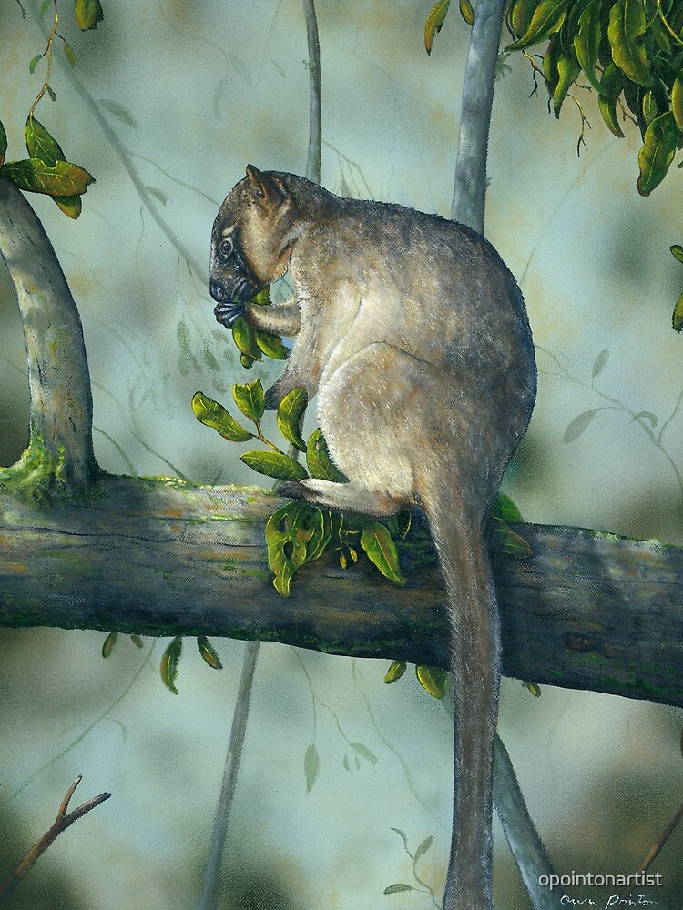 "TREE KANGAROO " Graphic T-Shirt for Sale by opointonartist | Redbubble