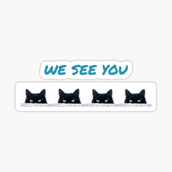 "WE SEE YOU !" Sticker for Sale by TechLaughs | Redbubble