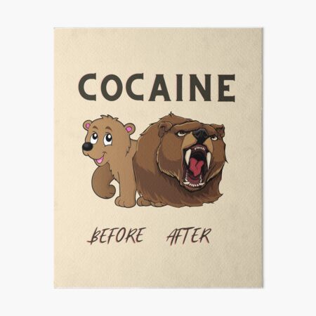 "Cocaine Bear Inspired Bear did cocaine Overdosed on cocaine Say No To ...