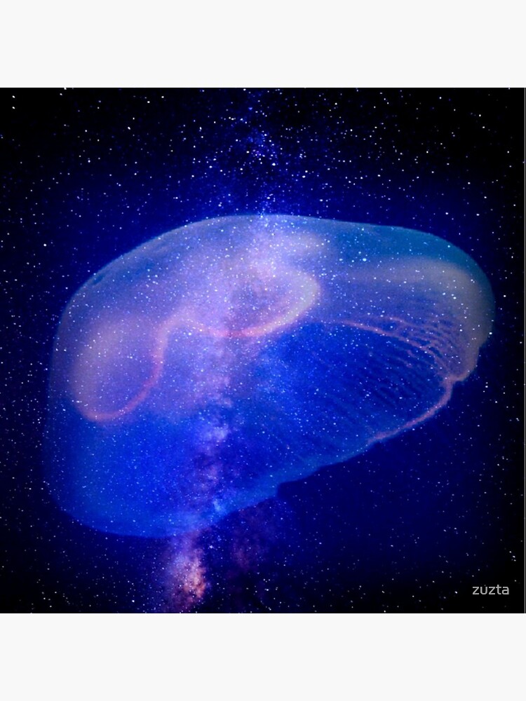 "Space jellyfish " Sticker for Sale by zuzta | Redbubble