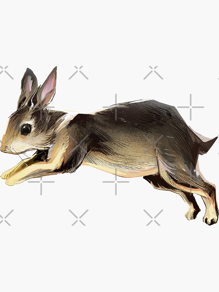 "Jumping Cottontail Rabbit Illustration" Sticker for Sale by Evumango ...