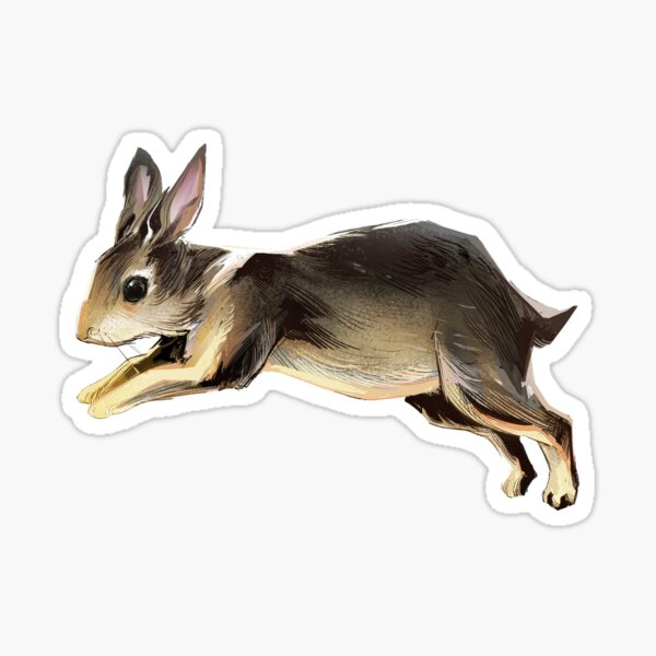 "Jumping Cottontail Rabbit Illustration" Sticker for Sale by Evumango ...