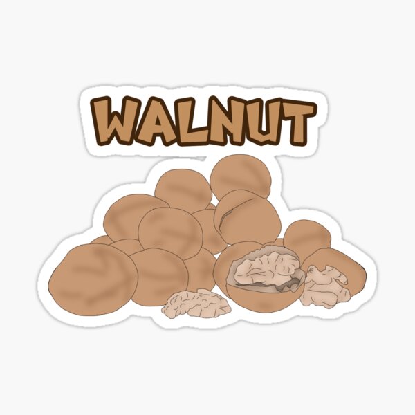 "Walnut Jar sticker" Sticker for Sale by Maki-Designs | Redbubble