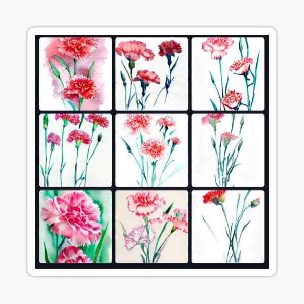 "Carnation Flowers art pack" Sticker for Sale by CinderPress | Redbubble