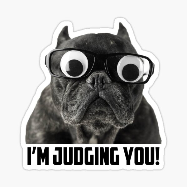 "I'm judging you - Funny Pug Dog Meme" Sticker for Sale by T-shirt ...
