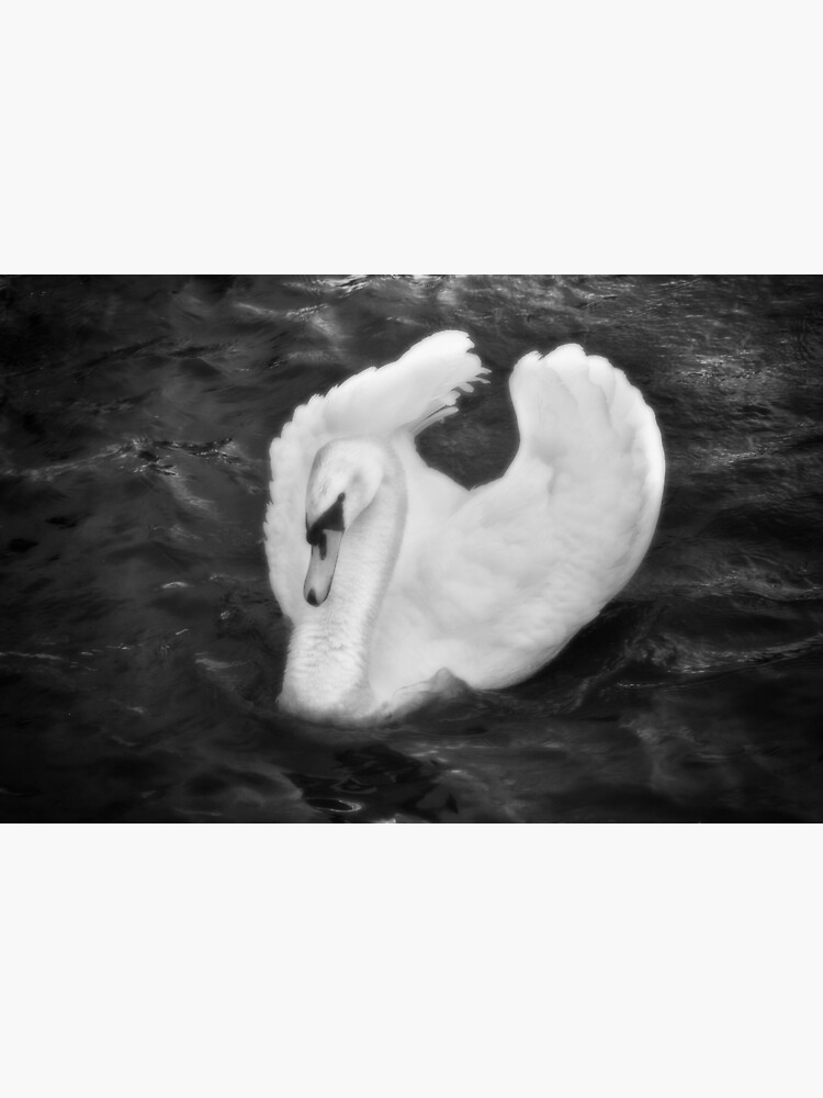 "Just Landed" Poster for Sale by Femaleform | Redbubble