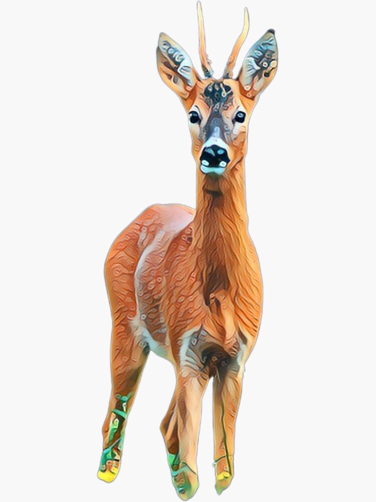 "Roe-deer - Woodland Themed Kids Room, Funny Gifts For Forester, Cute ...