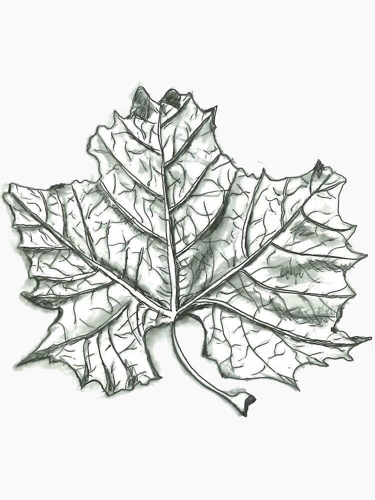 "Black and White Maple Leaf" Sticker for Sale by TomateDesigns | Redbubble