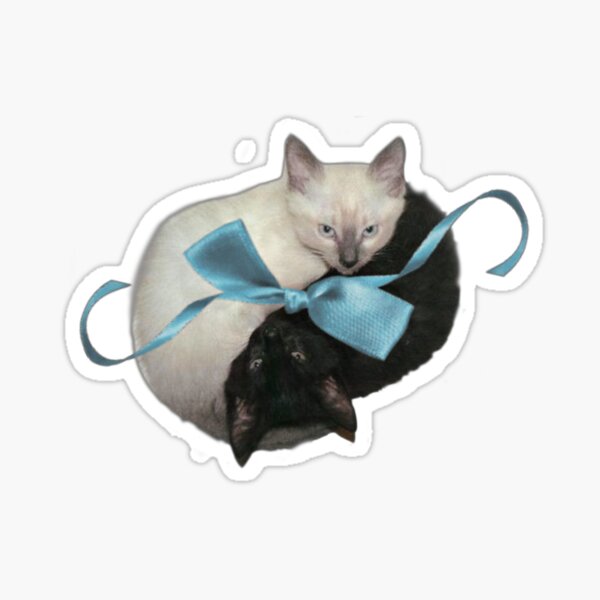 "Coquette cats with ribbon " Sticker for Sale by Pixiedrop | Redbubble