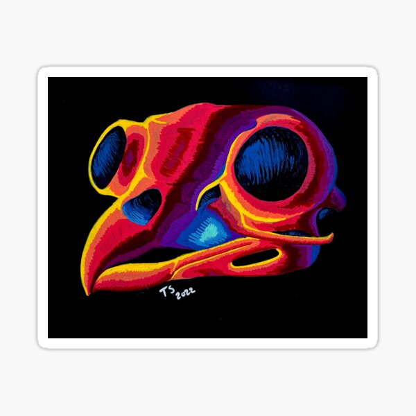 "Strigiformes" Sticker for Sale by TaylorPaints | Redbubble