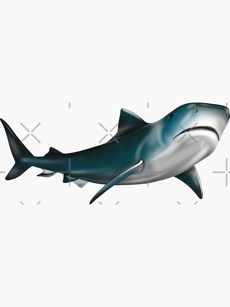 "Tiger Shark" Sticker for Sale by Southern-View | Redbubble