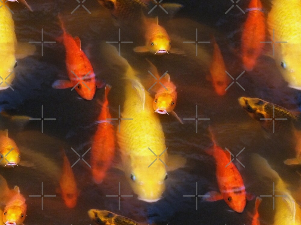 "Very Fishy (pattern)" by Yampimon | Redbubble