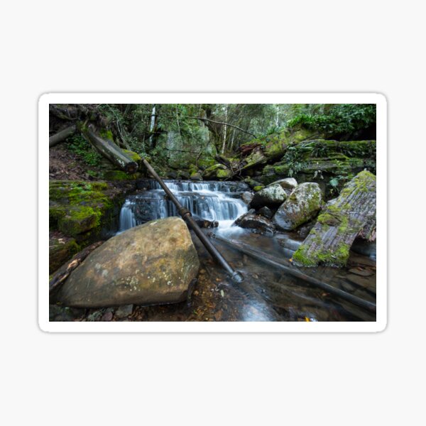 "STRICT WATER" Sticker for Sale by BenClarkImagery | Redbubble