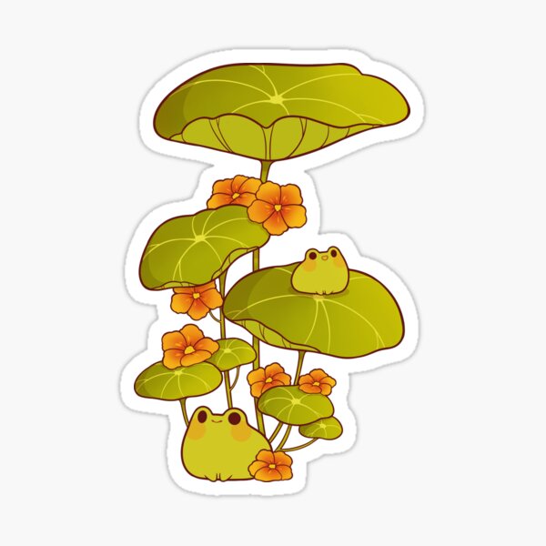 Regalos y productos: Ranita | Redbubble