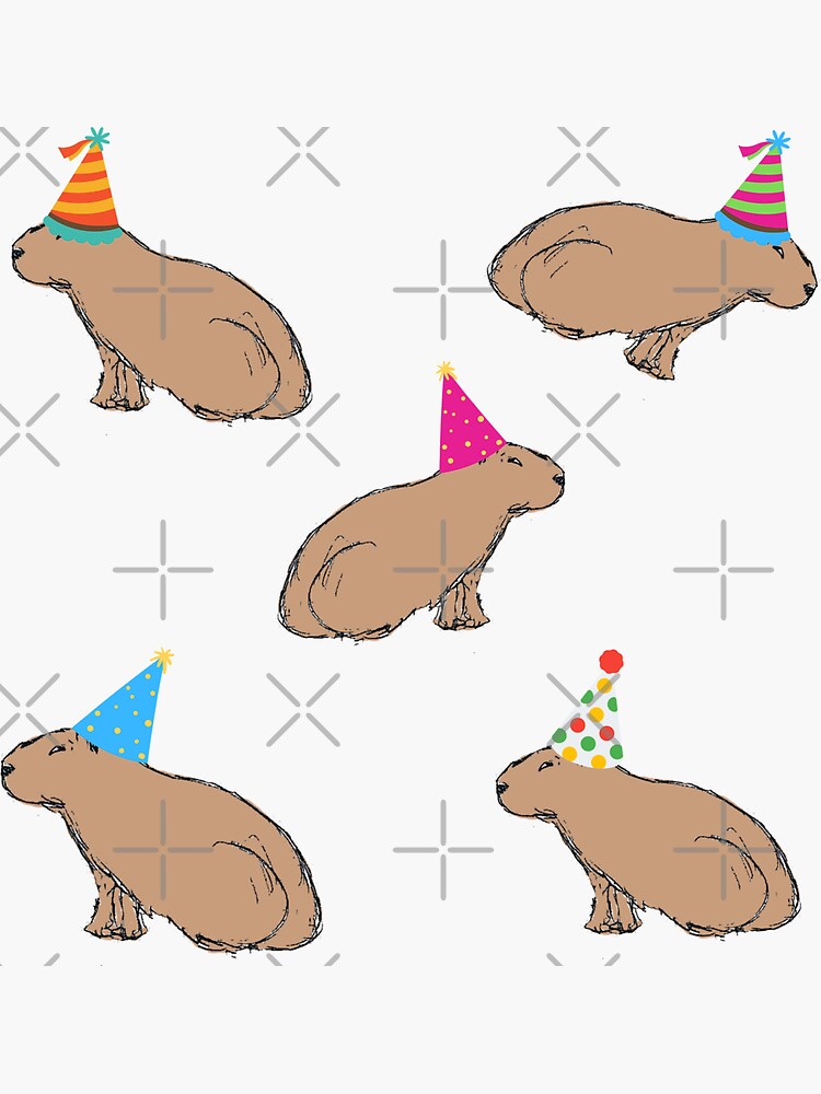 "Capybara Birthday Party" Sticker for Sale by MaryKunzGoldman | Redbubble