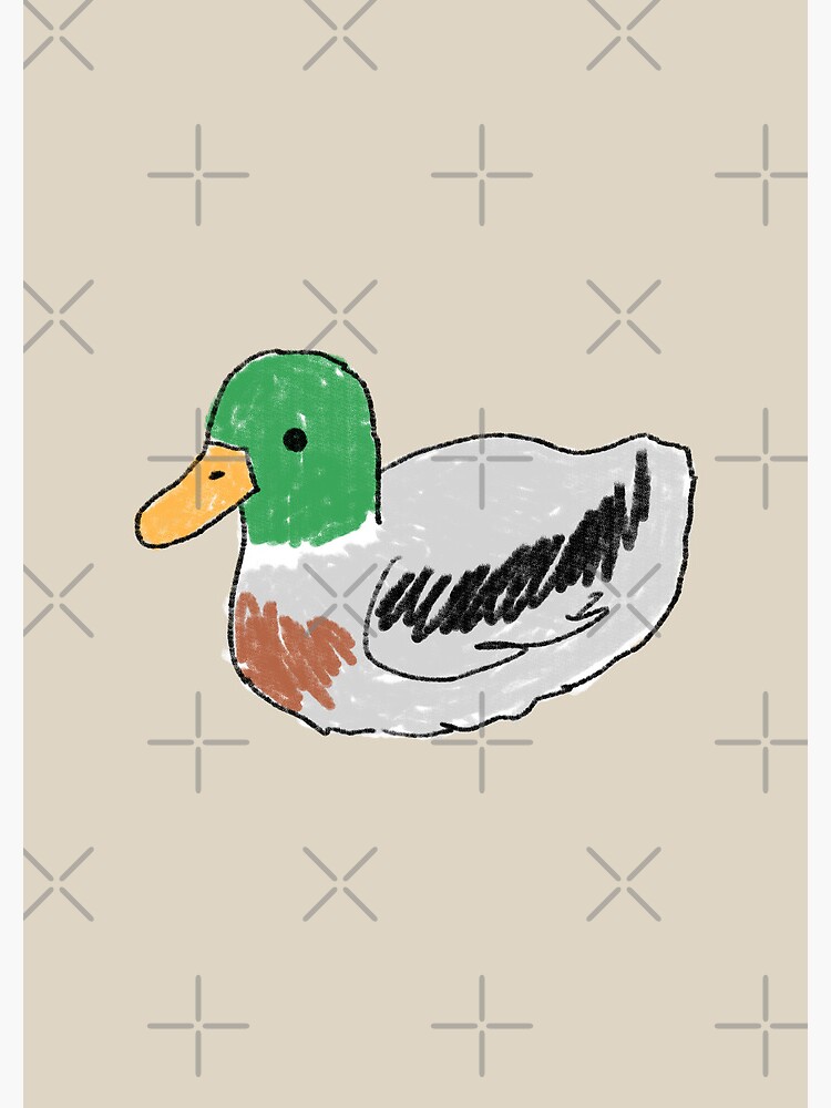 Easy Mallard Duck Drawings