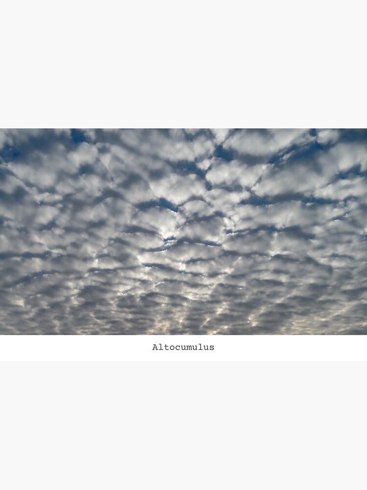 "Cloud types collection - Altocumulus" Sticker for Sale by Pankas | Redbubble