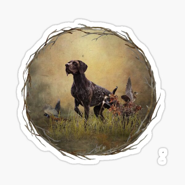 "A German Shorthaired Pointer on point" Sticker for Sale by ...