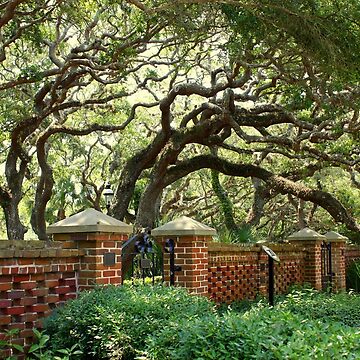 "Serenity" Sticker for Sale by Rachel Stickney | Redbubble