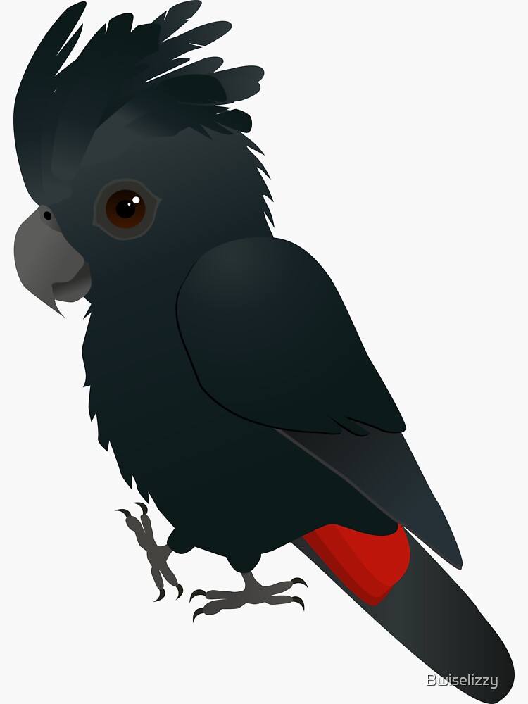 "An illustration of a cute red tailed black cockatoo" Sticker for Sale ...