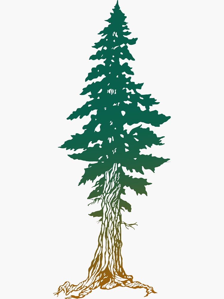 "Redwood Tree" Sticker for Sale by JordanGatt | Redbubble
