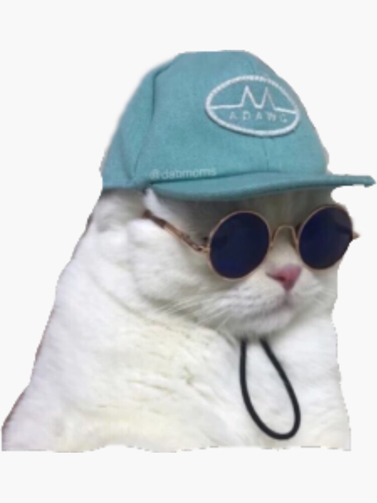 "Swag Cat" Sticker for Sale by jessicarachel | Redbubble