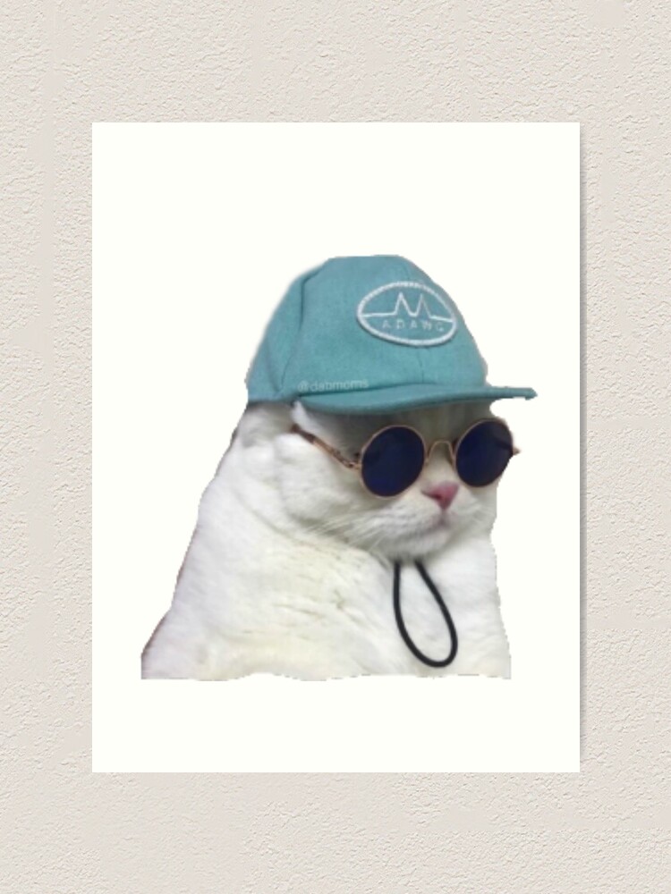 "Swag Cat" Art Print for Sale by jessicarachel | Redbubble