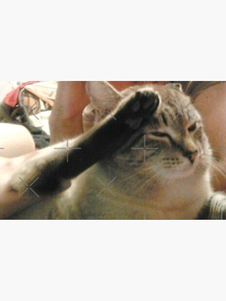 "Cat Salute" Sticker for Sale by SCha | Redbubble