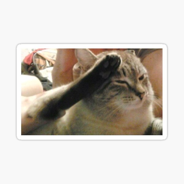 "Cat Salute" Sticker for Sale by SCha | Redbubble
