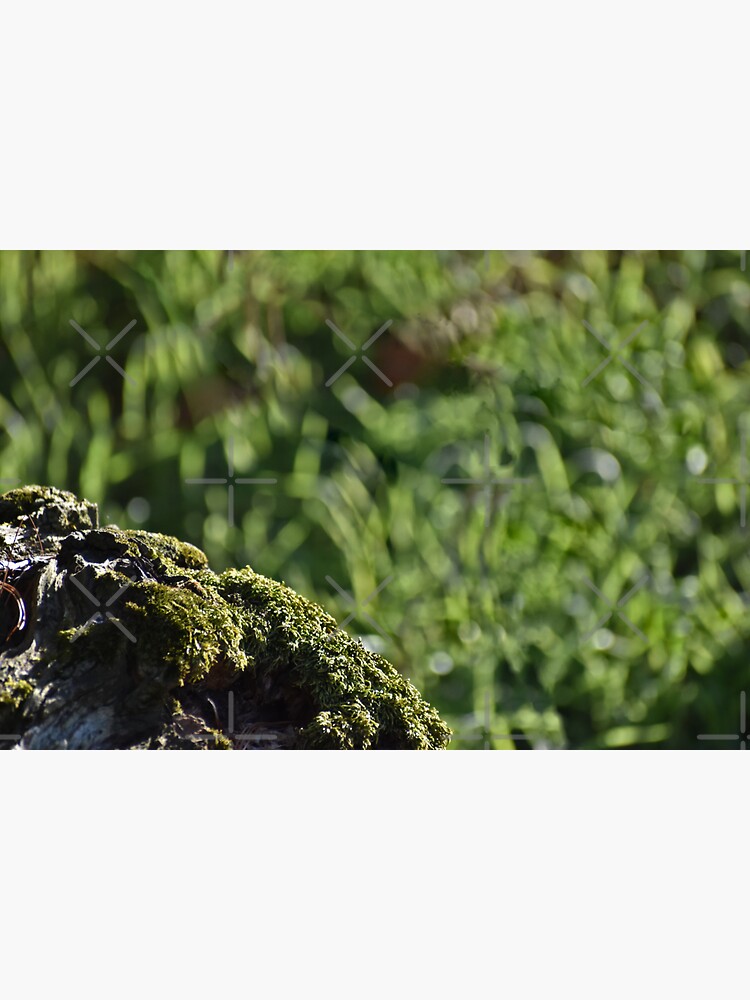 " Mossy Stump Border" Sticker for Sale by athousandwordss | Redbubble