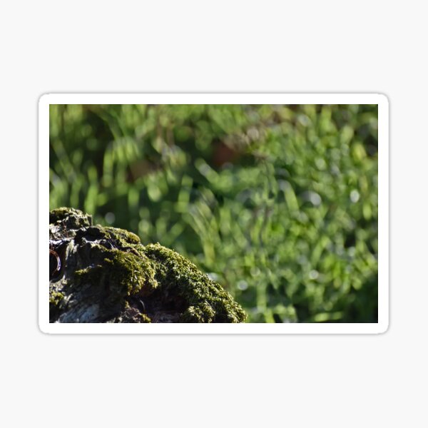 " Mossy Stump Border" Sticker for Sale by athousandwordss | Redbubble