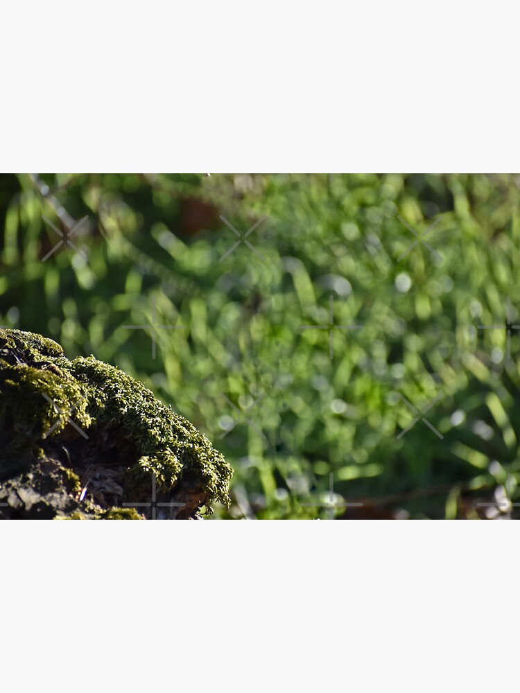 " Mossy Stump Border" Sticker for Sale by athousandwordss | Redbubble