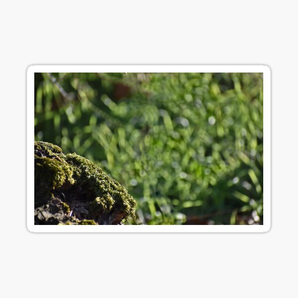 " Mossy Stump Border" Sticker for Sale by athousandwordss | Redbubble
