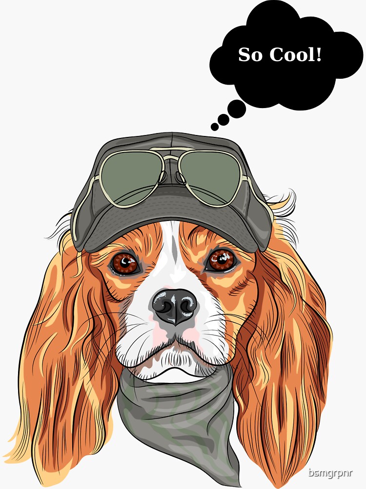 "So cool | Funny Dog | Funny Dogs | Funny Dog Pictures | Funny Dog ...