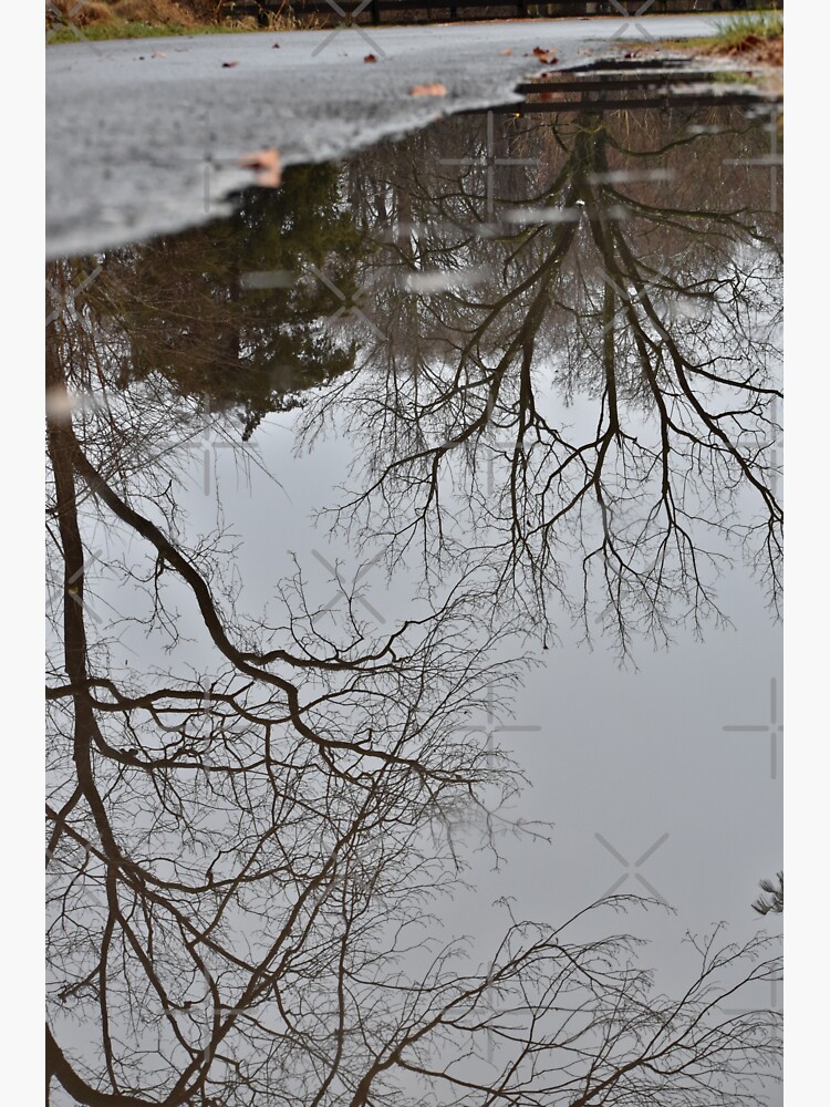 "Mud Puddle Reflection" Sticker for Sale by athousandwordss | Redbubble
