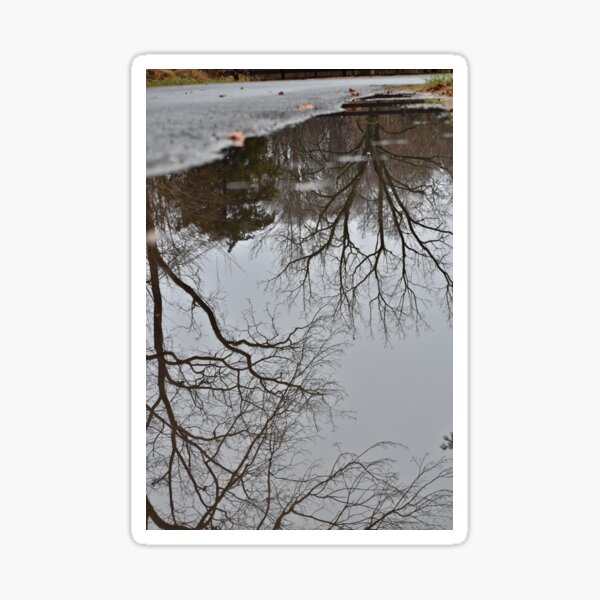 "Mud Puddle Reflection" Sticker for Sale by athousandwordss | Redbubble