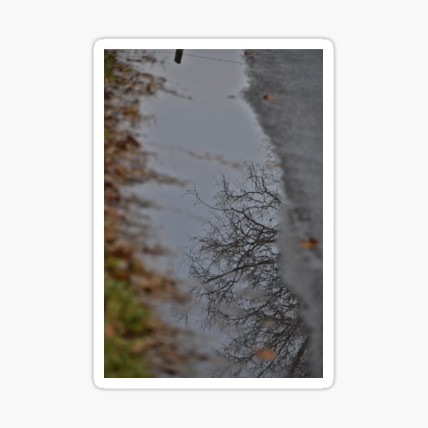 "Mud Puddle Reflection" Sticker for Sale by athousandwordss | Redbubble
