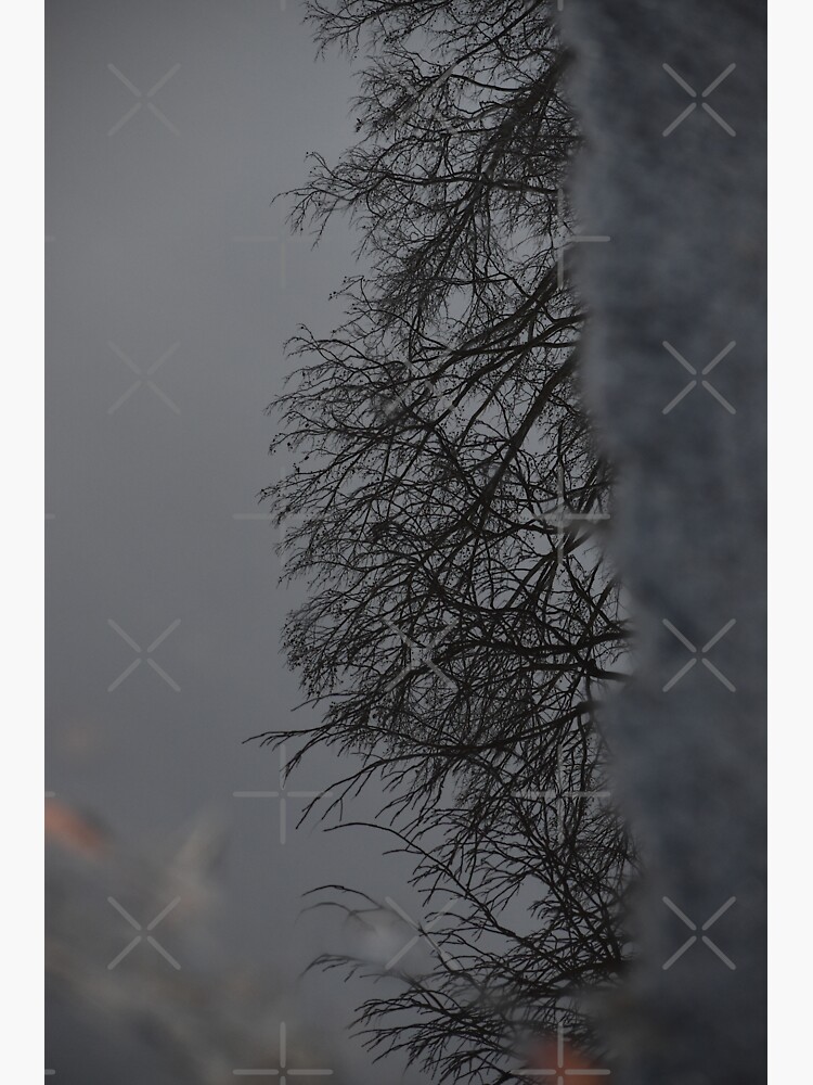 "Mud Puddle Reflection" Sticker for Sale by athousandwordss | Redbubble