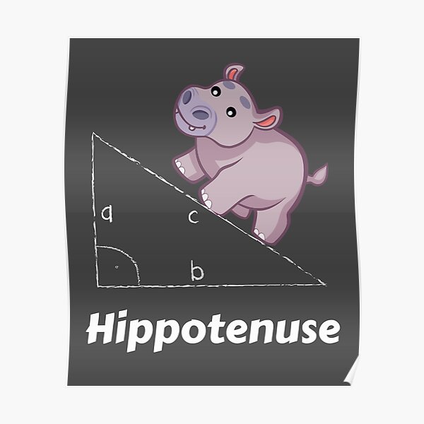 Hippotenuse Posters | Redbubble