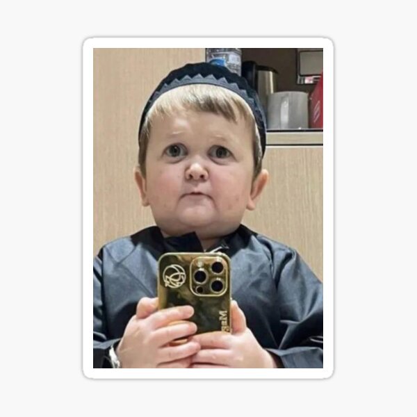 "hasbulla selfie meme" Sticker for Sale by EleaonoraGrey | Redbubble