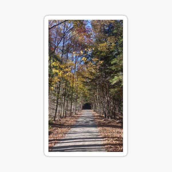 "Walking path" Sticker for Sale by Jlrodimon | Redbubble