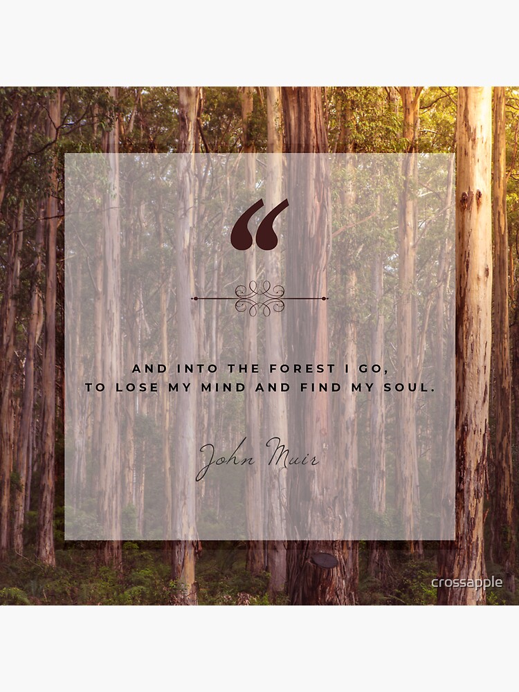 John Muir Zitat Und In Den Wald Gehe Ich Um Meinen Verstand Zu Verlieren Und Meine Seele Zu