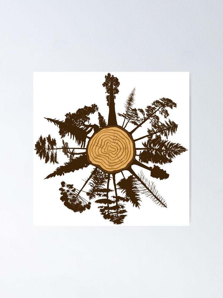 "Tree trunk Cross Section Growth Rings Pine Trees" Poster for Sale by ...