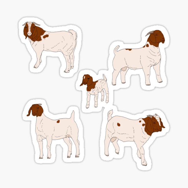 "Boer Goats Pattern Transparent" Sticker for Sale by TrapperWeasel ...