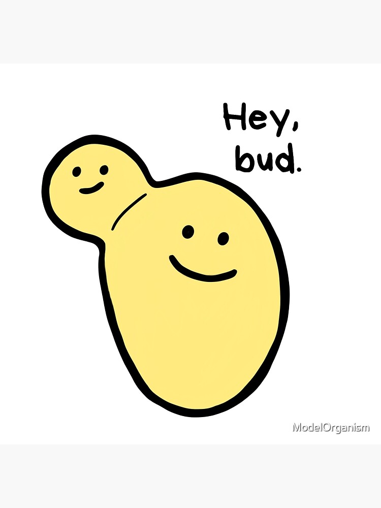 "Yeast Budding Hey Bud Pun" Poster for Sale by ModelOrganism | Redbubble