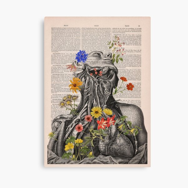 "Life is Beautiful Vintage Flower body Anatomical Illustrations on Old ...