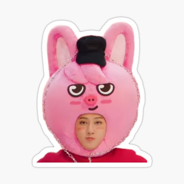 "stray kids skzoo changbin dwaekki stickers" Sticker for Sale by ...