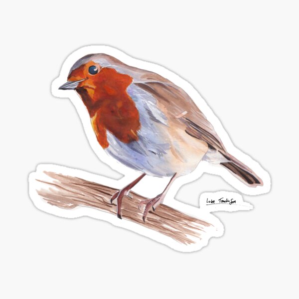 "Robin" Sticker for Sale by lucafon18 | Redbubble