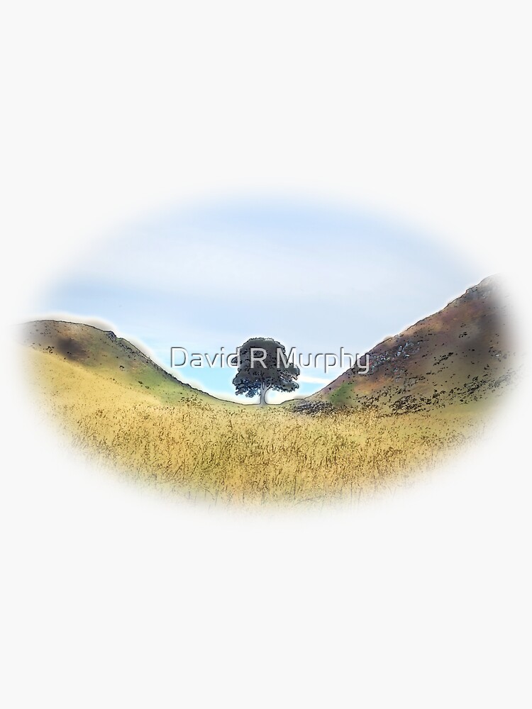 "Sycamore Gap" Sticker for Sale by DavidRMurphy | Redbubble