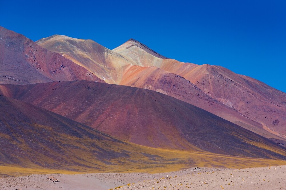 "Painted Atacama" by Dave Hare | Redbubble